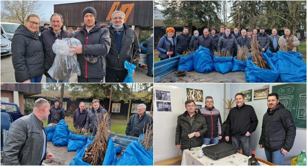 FOTO Udruga Agacija podijelila je 1000 sadnica autohtonog i medonosnog ...